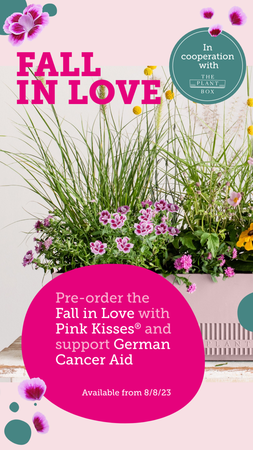 Pink Kisses - Say it with Pink Kisses®!